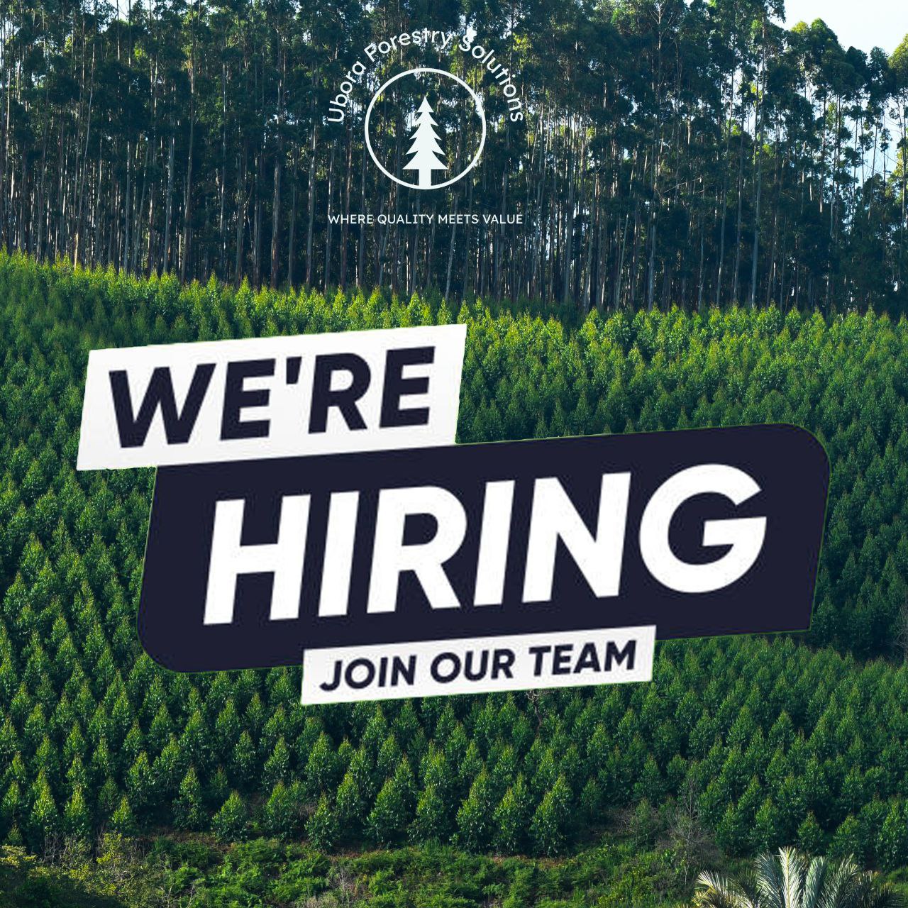 Field Forester – one post – Ubora Forestry Solutions